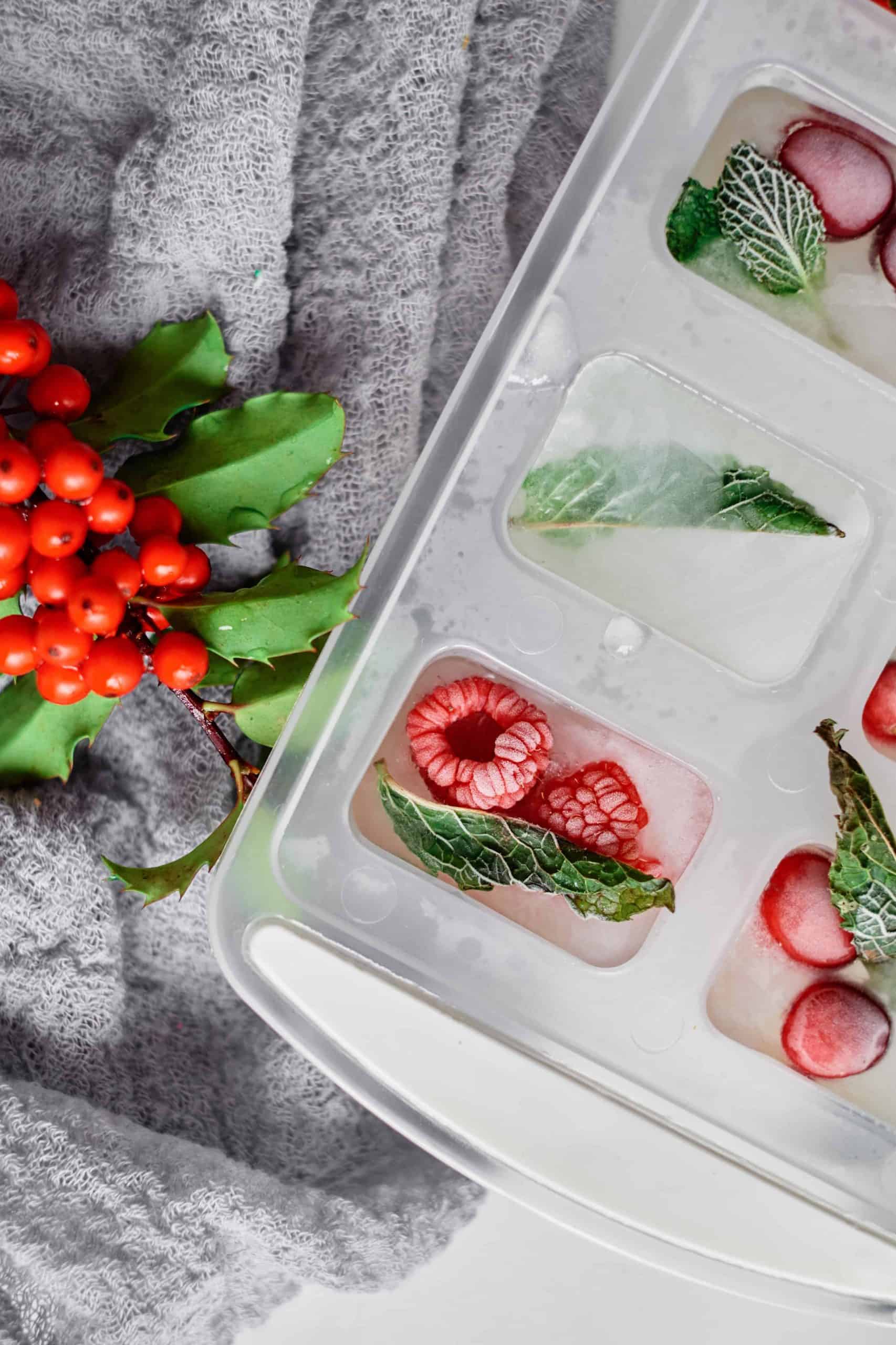 How to Make Holiday Fruit Ice Cubes - Marathons & Motivation