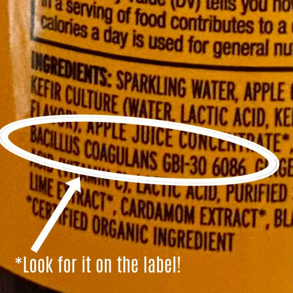 The Role of Probiotics in Daily Wellness - Marathons & Motivation