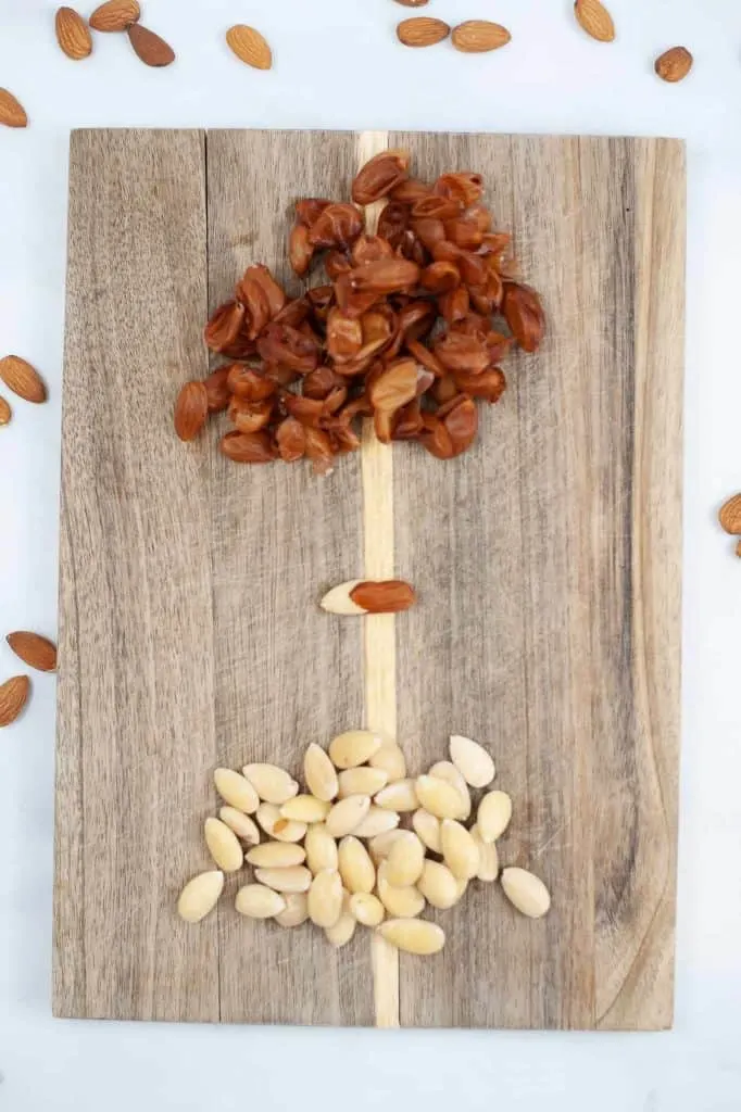 Homemade Almond Milk in the Instant Pot - Marathons & Motivation