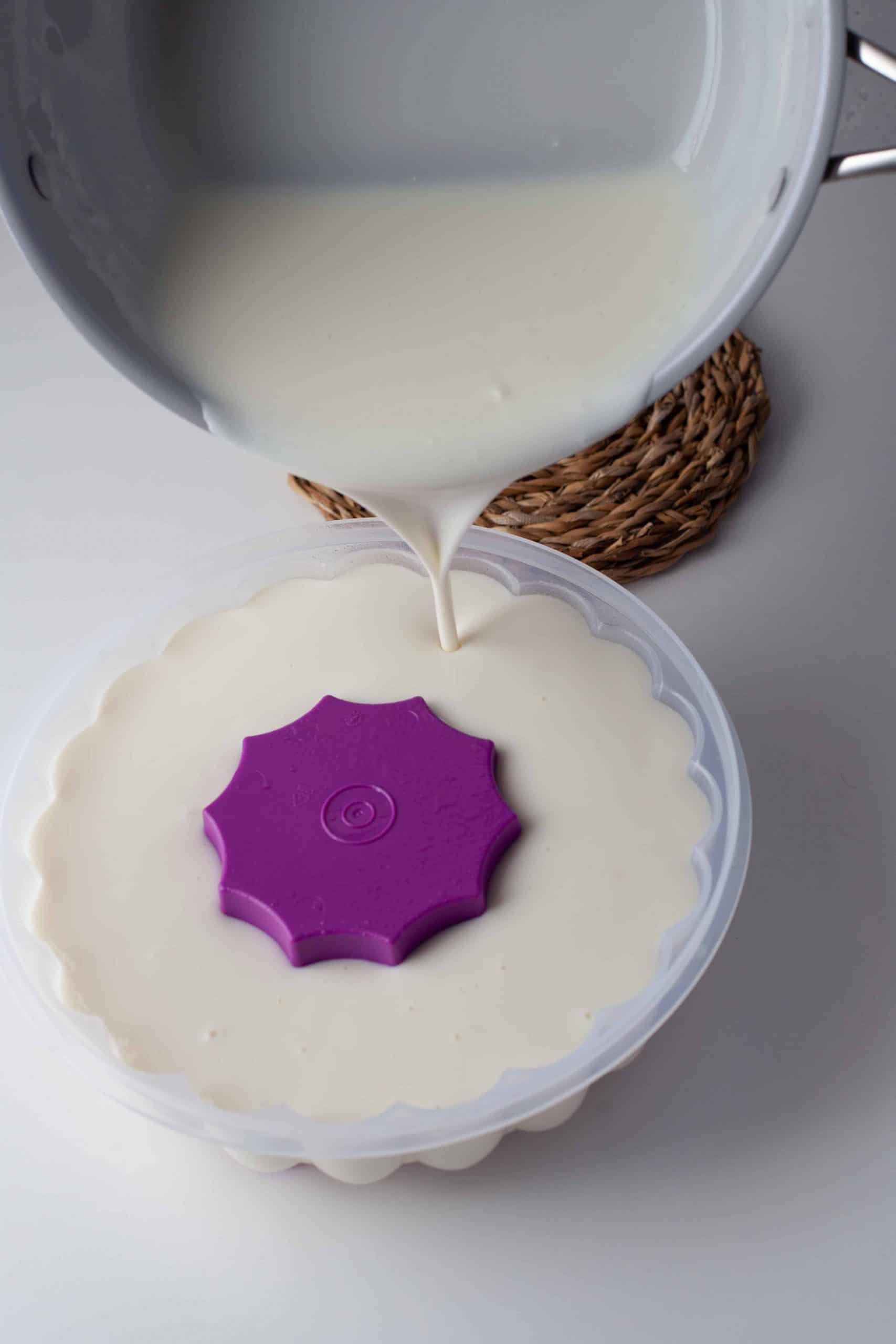 Yogurt Jello with Raspberry Sauce - Marathons & Motivation