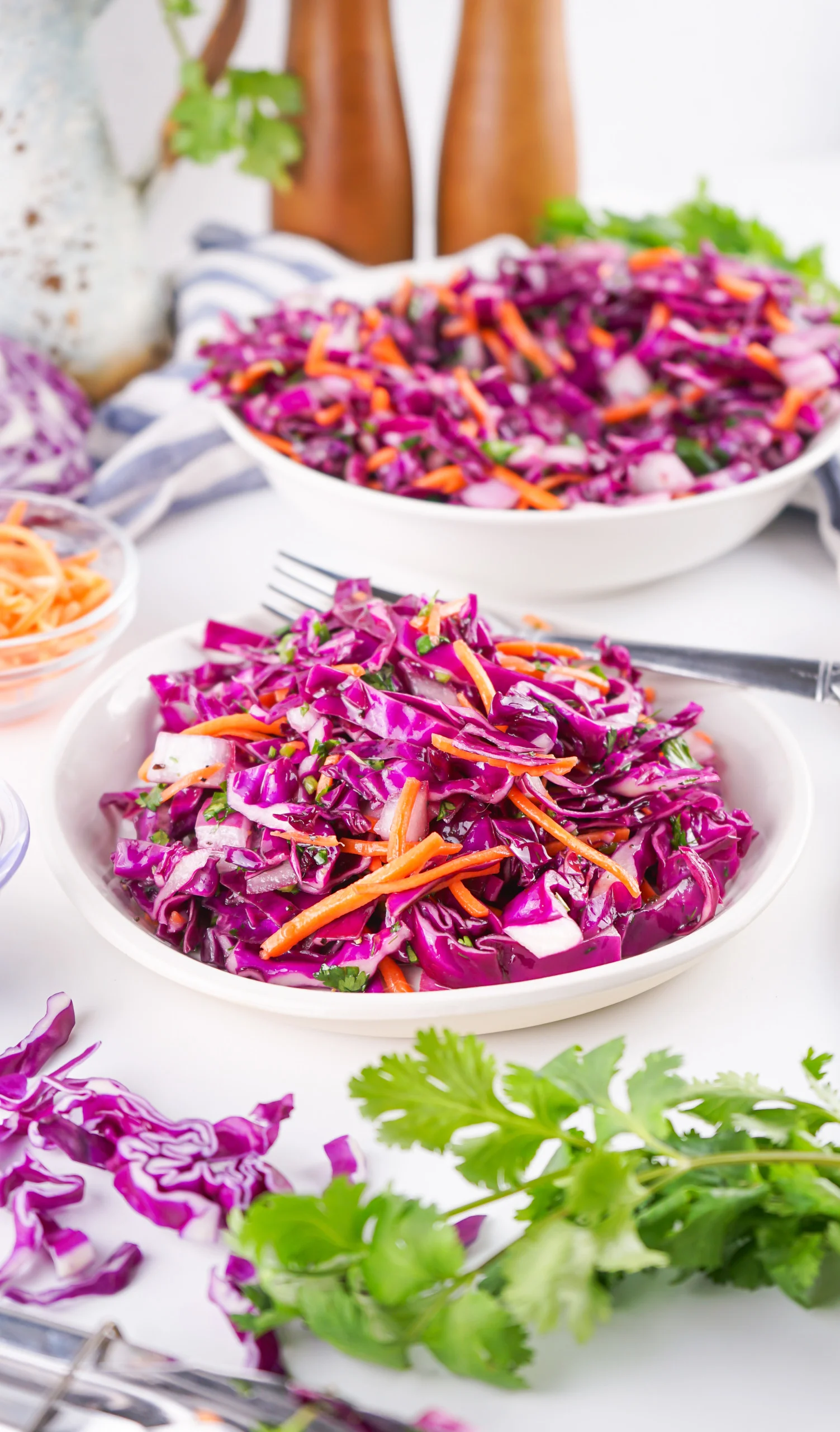 Red Cabbage Coleslaw (No Mayo!) - Marathons & Motivation