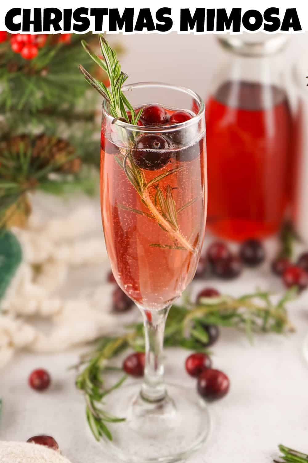 Christmas Cranberry Mimosa Recipe - Marathons & Motivation