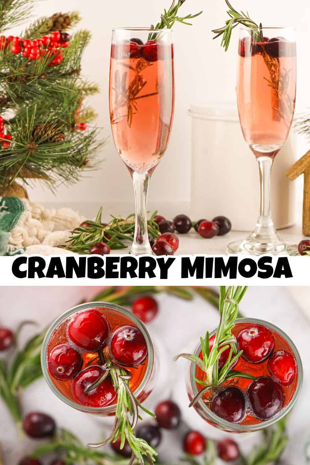 Christmas Cranberry Mimosa Recipe - Marathons & Motivation