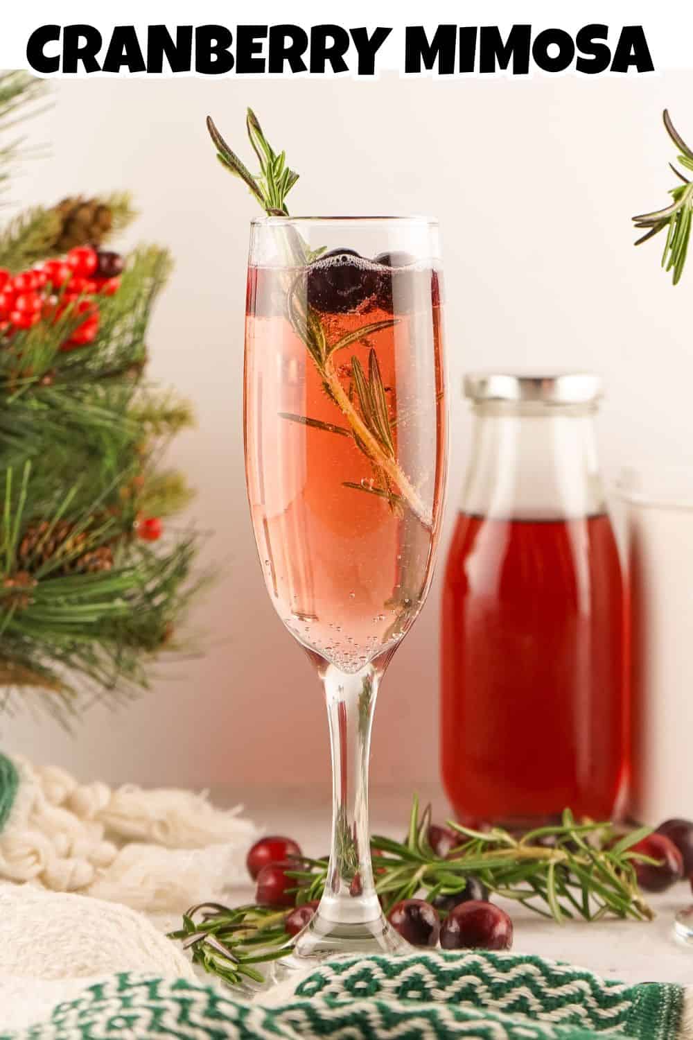Christmas Cranberry Mimosa Recipe - Marathons & Motivation